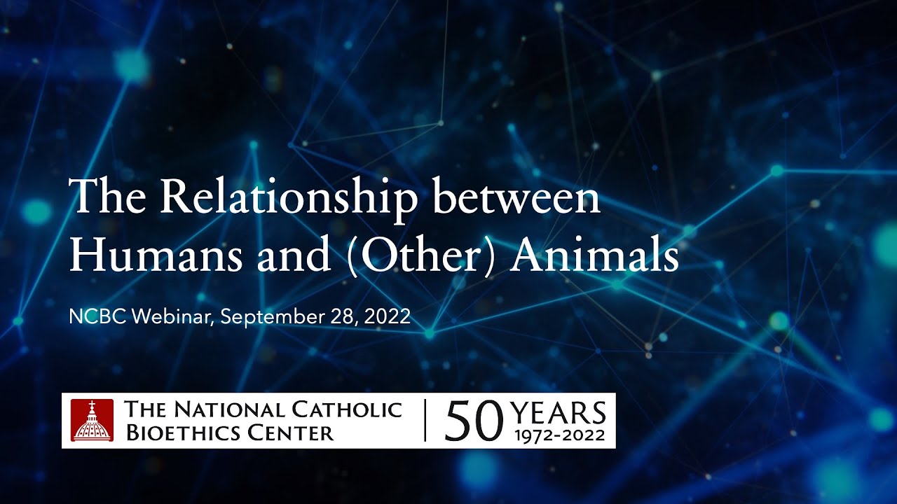 The Relationship between Humans and (Other) Animals - YouTube