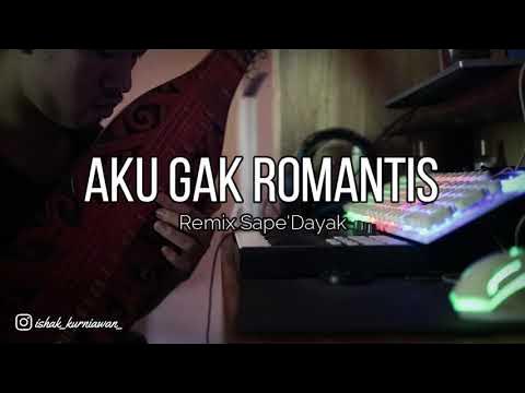DJ Sape Aku Gak Romantis (Remix Sape'Dayak) - YouTube