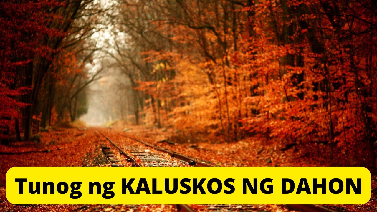 Tunog ng KALUSKOS NG DAHON | Sound of RUSTLING OF LEAVES - YouTube