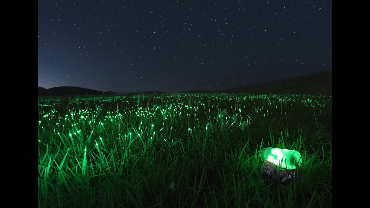 Sustainable Grass Light——The Spirit of Earth - YouTube