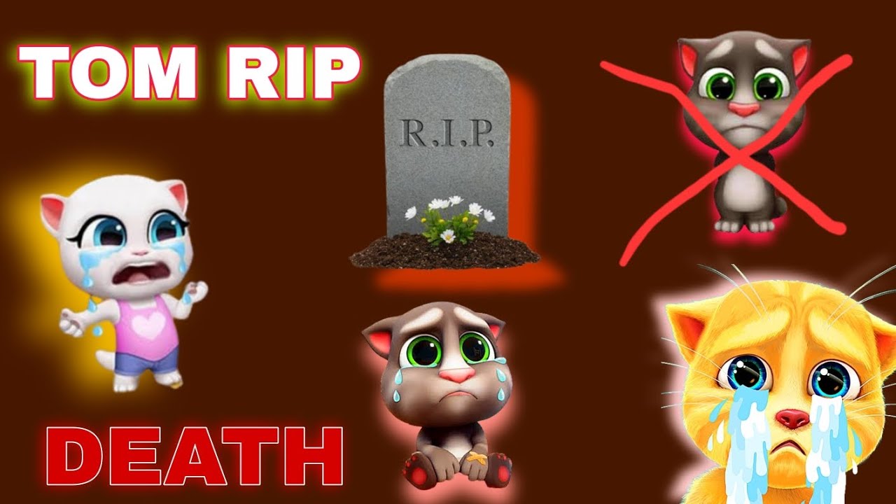 My talking Tom Friend ( // TOM DEATH IN YOUR CAT FAMILY //) 🪦 🎮 - YouTube