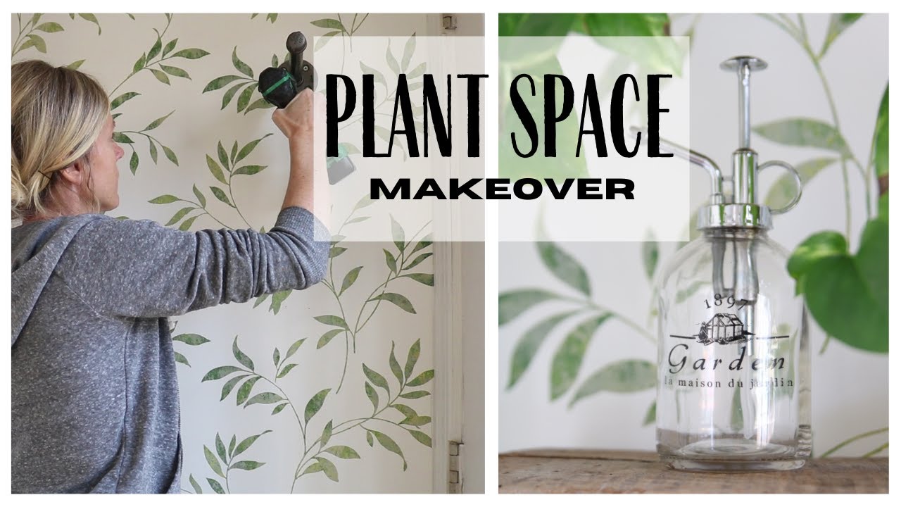 Plant Space Makeover ~ House Plant Arrangement ~ Plant room Makeover ...