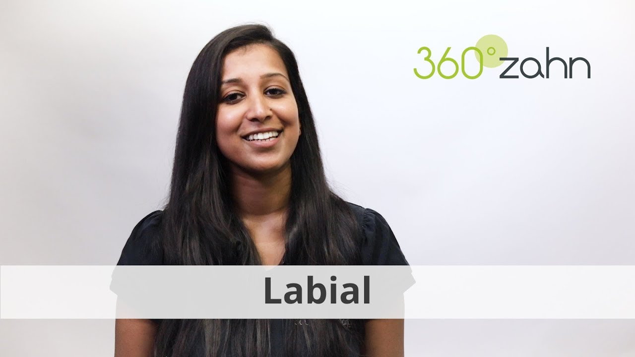Labial - Was bedeutet Labial? | Dental-Lexikon | 360°zahn - YouTube