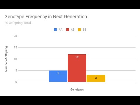 Hardy Weinberg Lab Spreadsheet - YouTube
