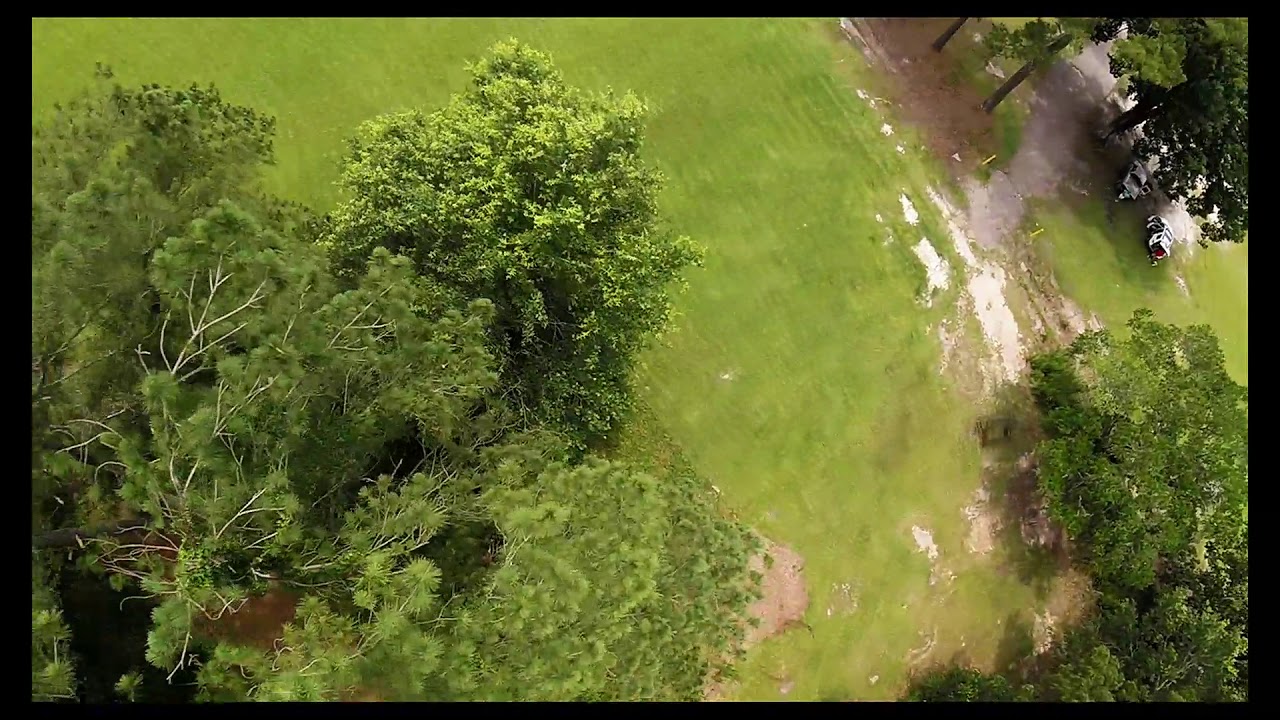 Treemix @ Pooler Rec Park - YouTube