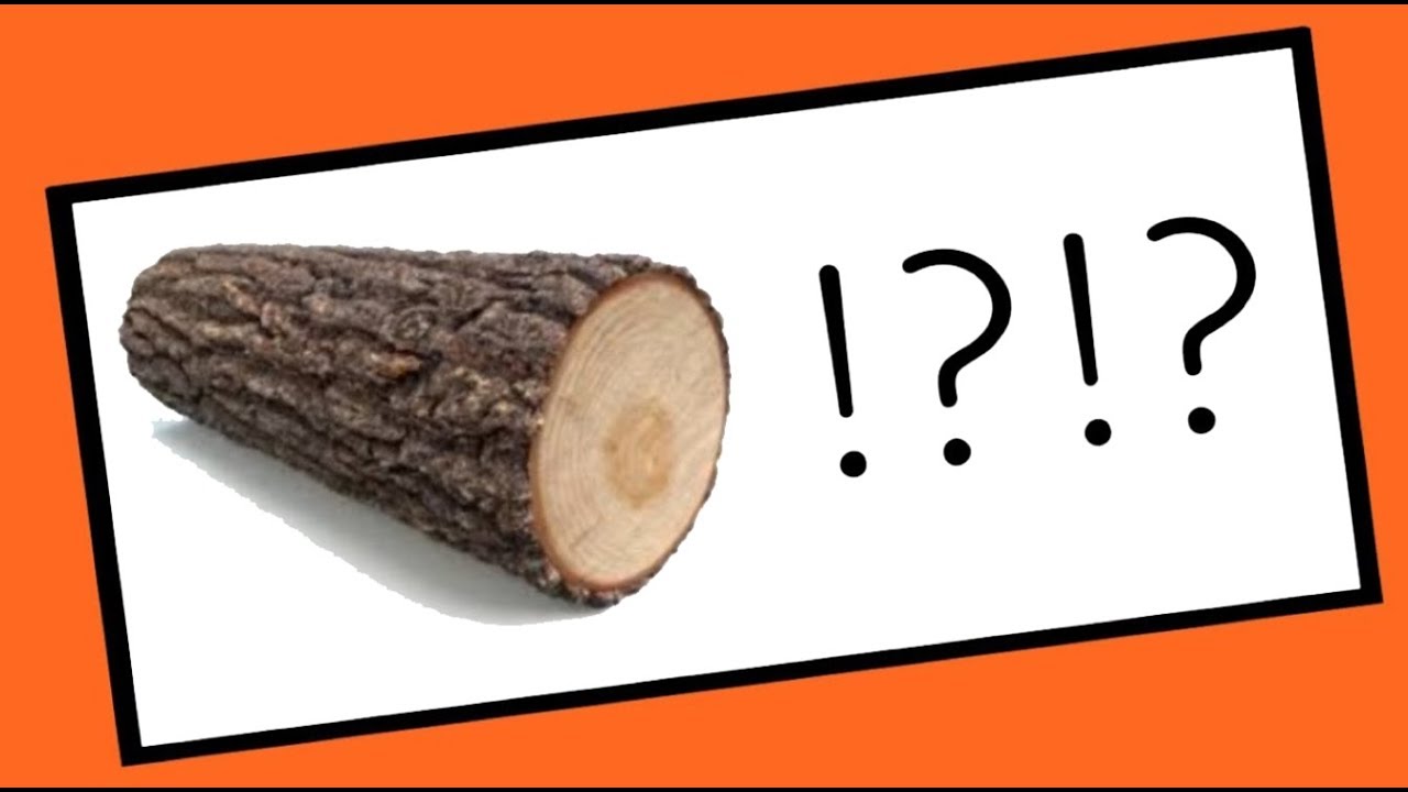 The Log Laws YouTube