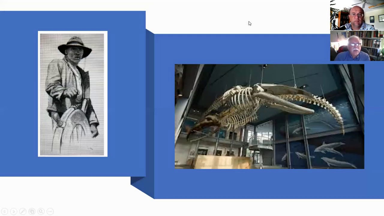 Preserving Maritime America: New Bedford Whaling Museum, James Lindgren ...