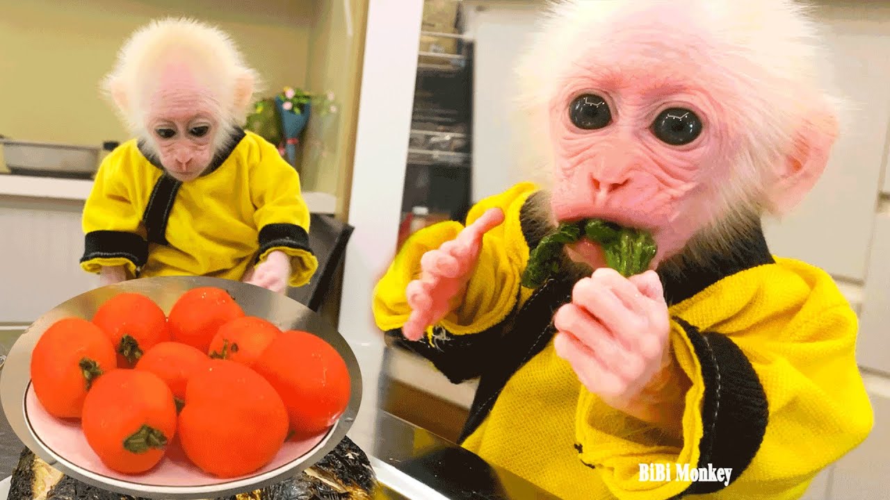 Lovely Bibi prepares a hearty lunch with him family | Part 2 - YouTube