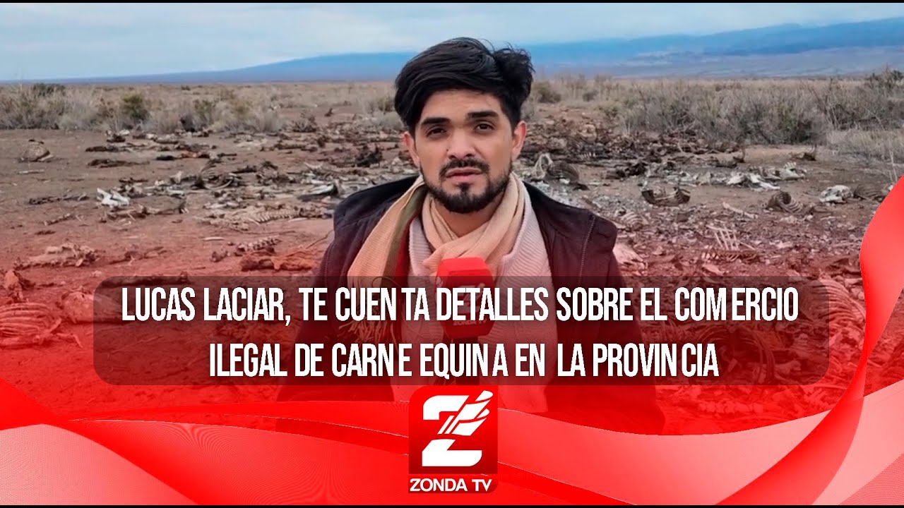 Lucas Laciar, te cuenta detalles sobre el comercio ilegal de carne ...