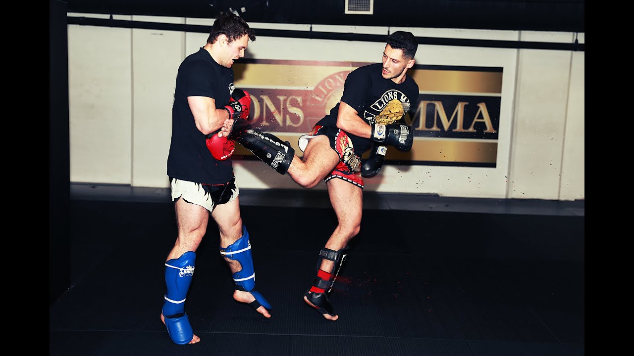 3 Ways to Set Up a Hard Hitting Back Kick in #Kickboxing or Muay Thai ...