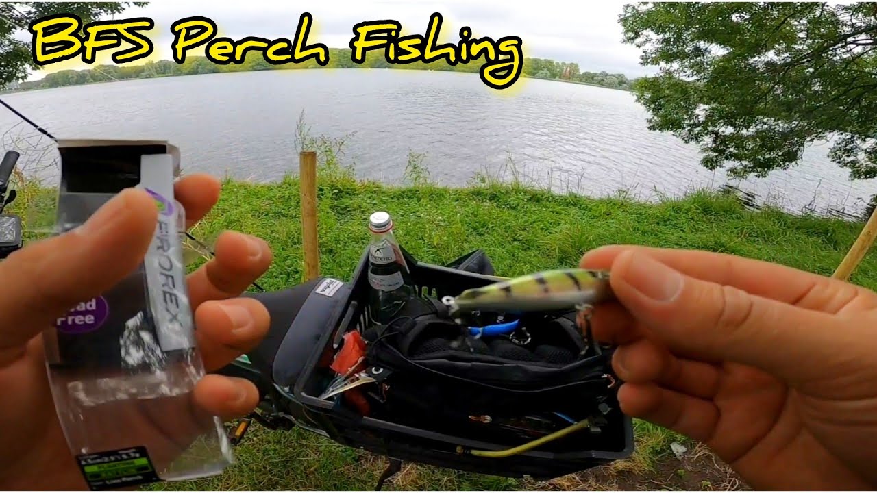 Topwater Perch Fishing with BFS tackle - YouTube