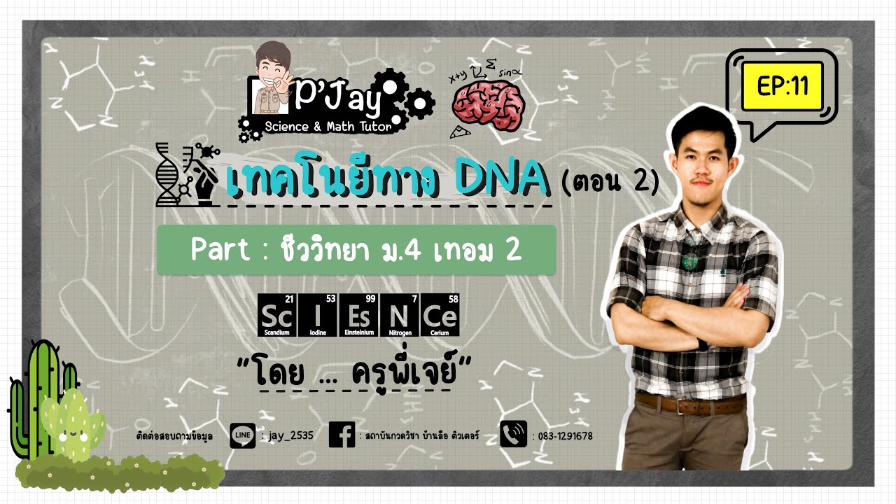 เทคโนโลยีทาง DNA ~ ชีวะ ม.4 EP : 11 (ตอน 2) | Kru P'Jay - YouTube