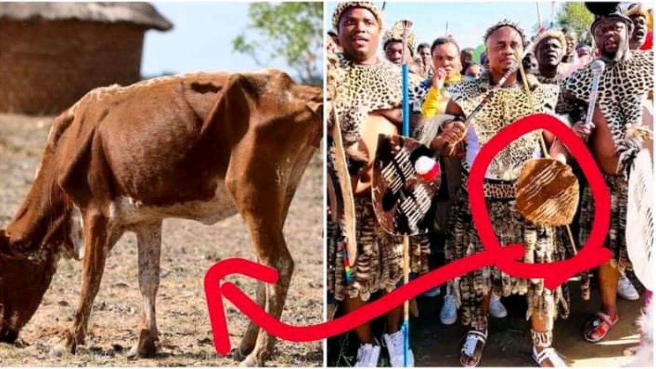 Kuqubuke omkhulu umsindo ngeHhawu le Gcokama Elisha - YouTube