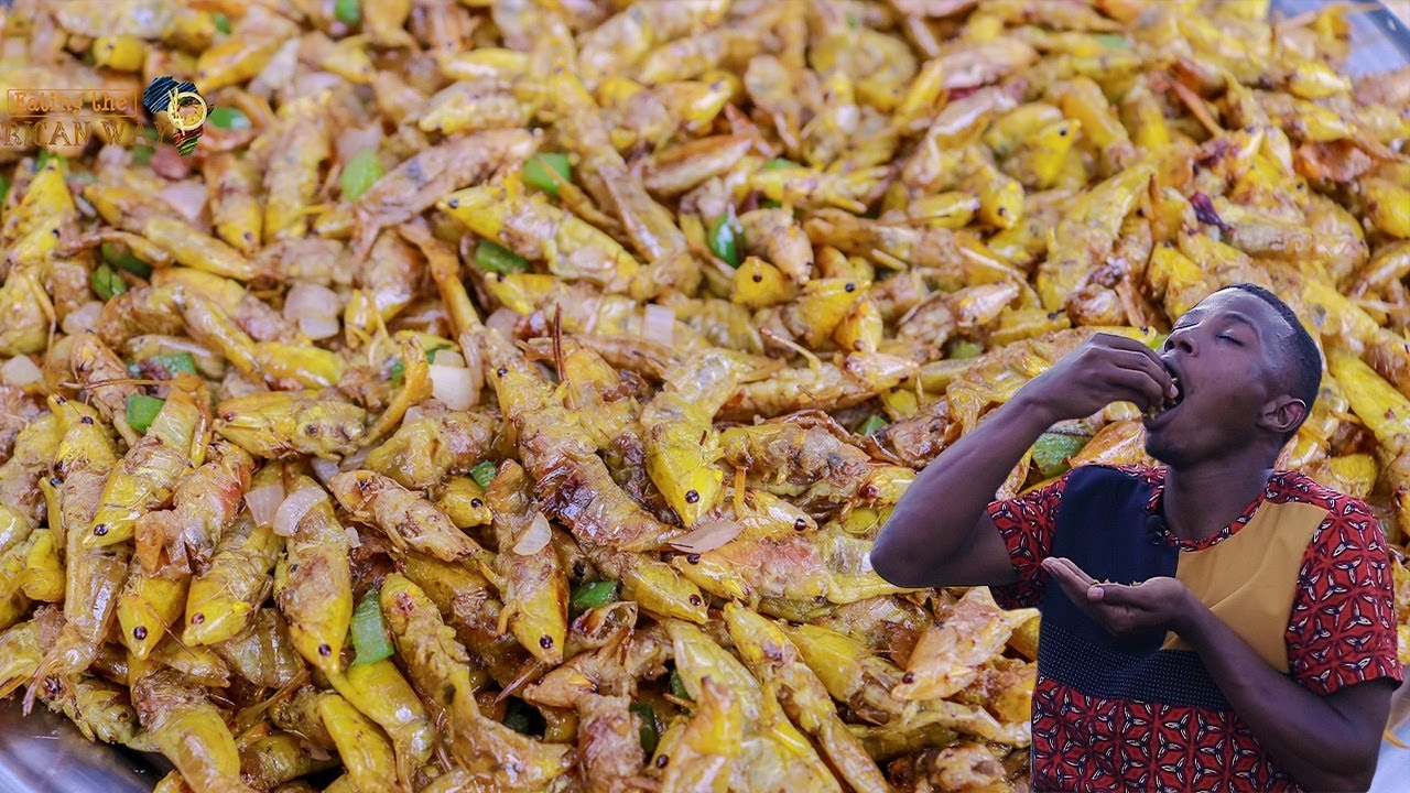 Nsenene / Ugandan Delicacy - YouTube