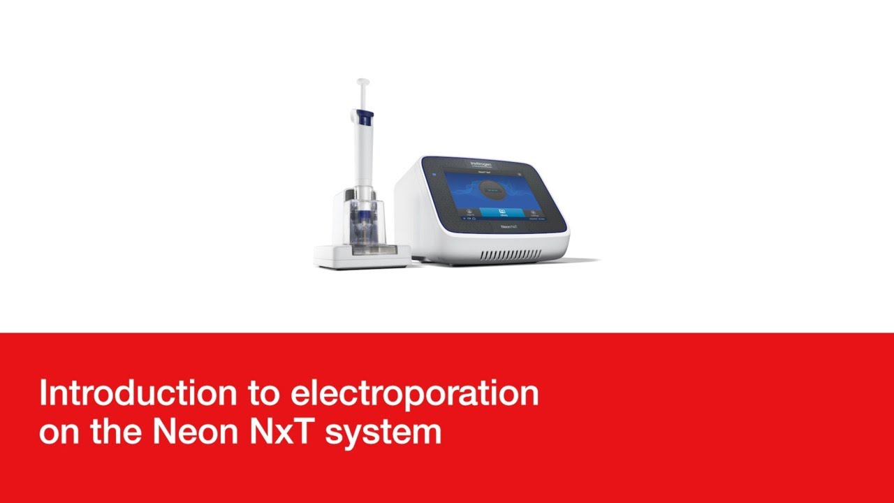Introduction to electroporation on the Neon NxT system - YouTube