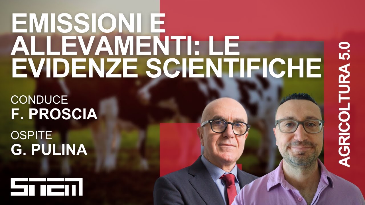 Emissioni e allevamenti: le evidenze scientifiche - YouTube