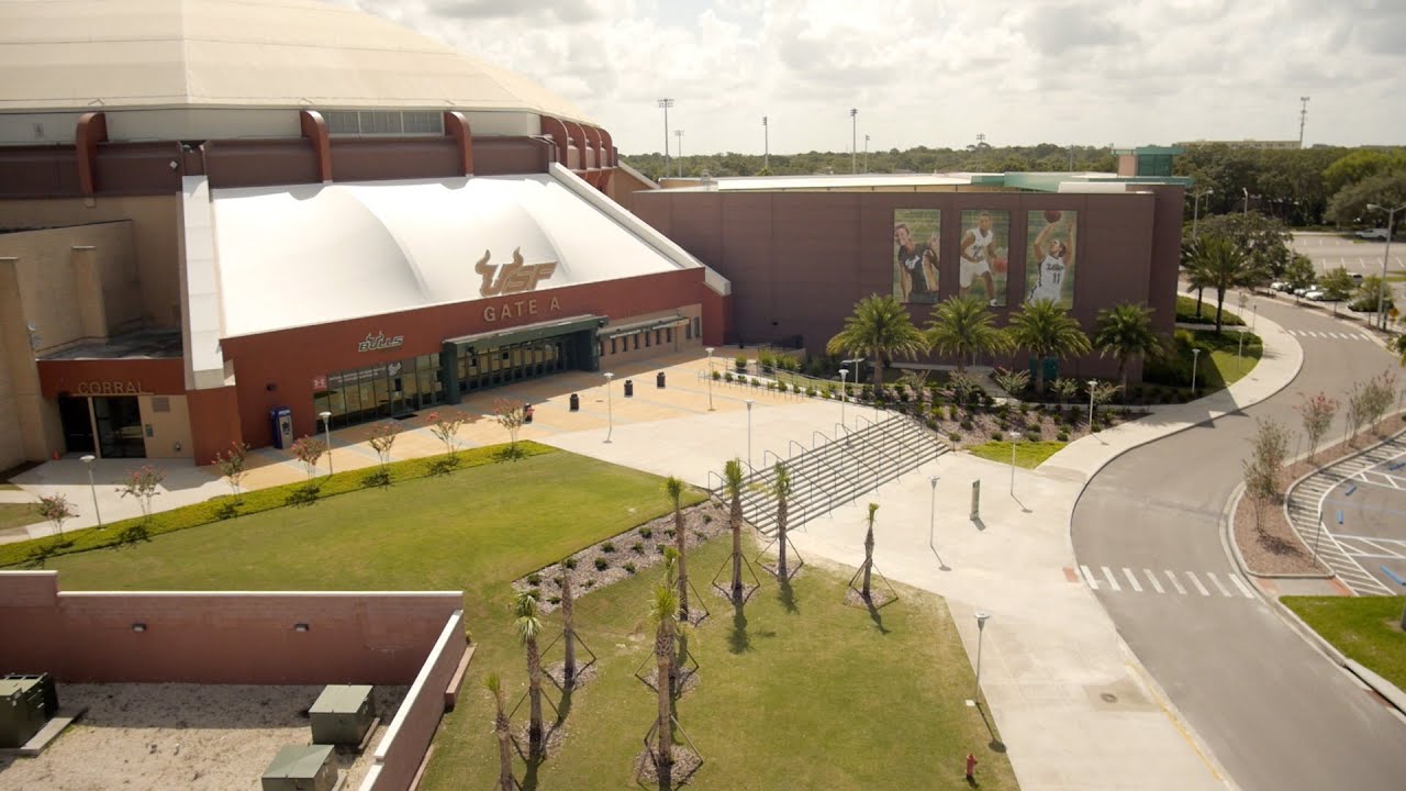 USF Sun Dome Mural - YouTube