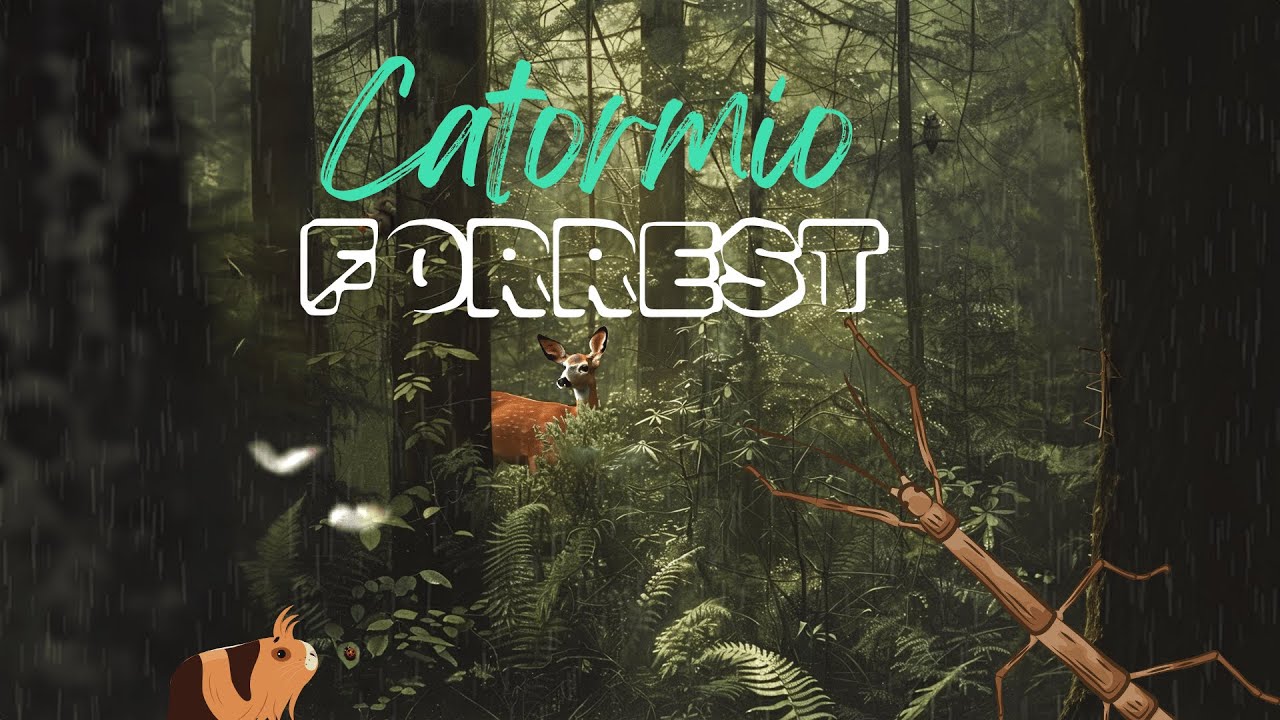 Animated rainy forrest with animals - YouTube