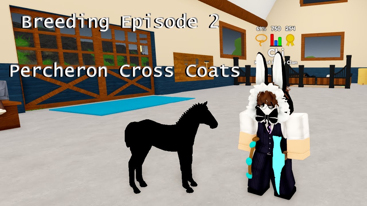 Wild Horse s Breeding Ep 2 Percheron Cross Coats YouTube Wild Horse s Breeding Ep 2 Percheron Cross Coats YouTube