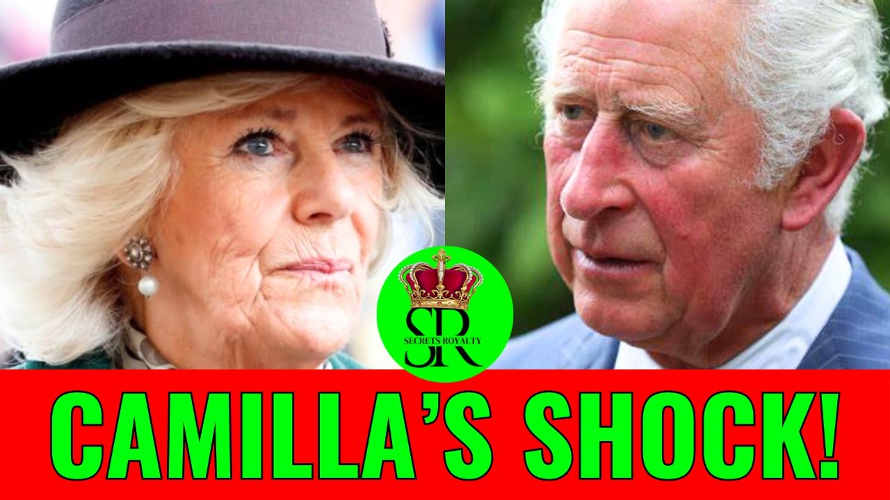 Camilla Stunned as King Charles Publicly Displays Signed Divorce Papers ...