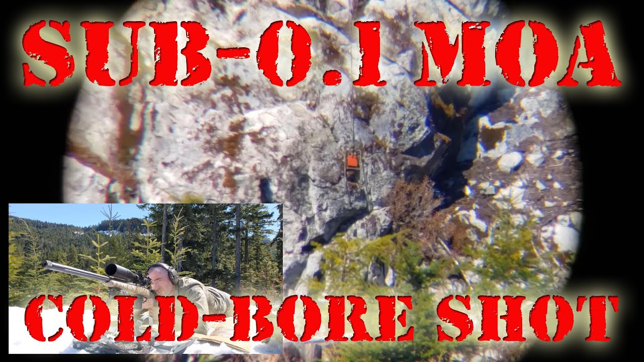 Sub-0.1 MOA cold-bore shot at 440 meters (Savage Model 10 FCP-SR .308 ...