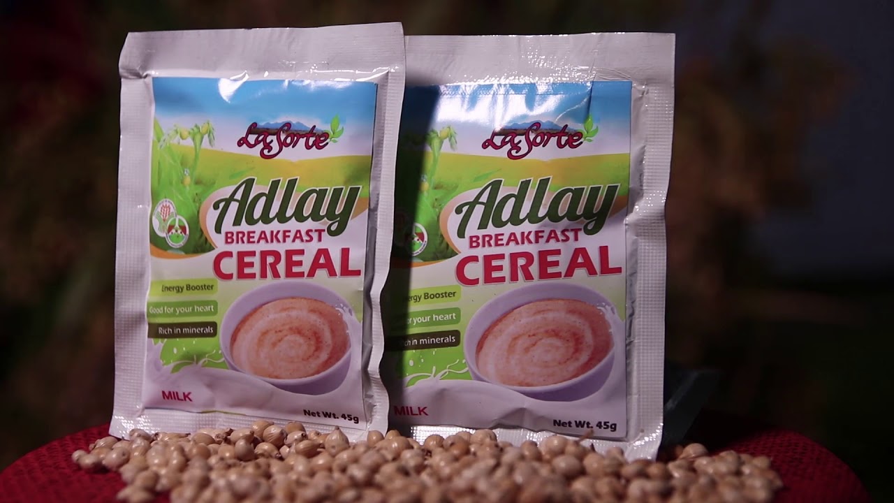 Updates on the Adlay Program of Region 10 - YouTube