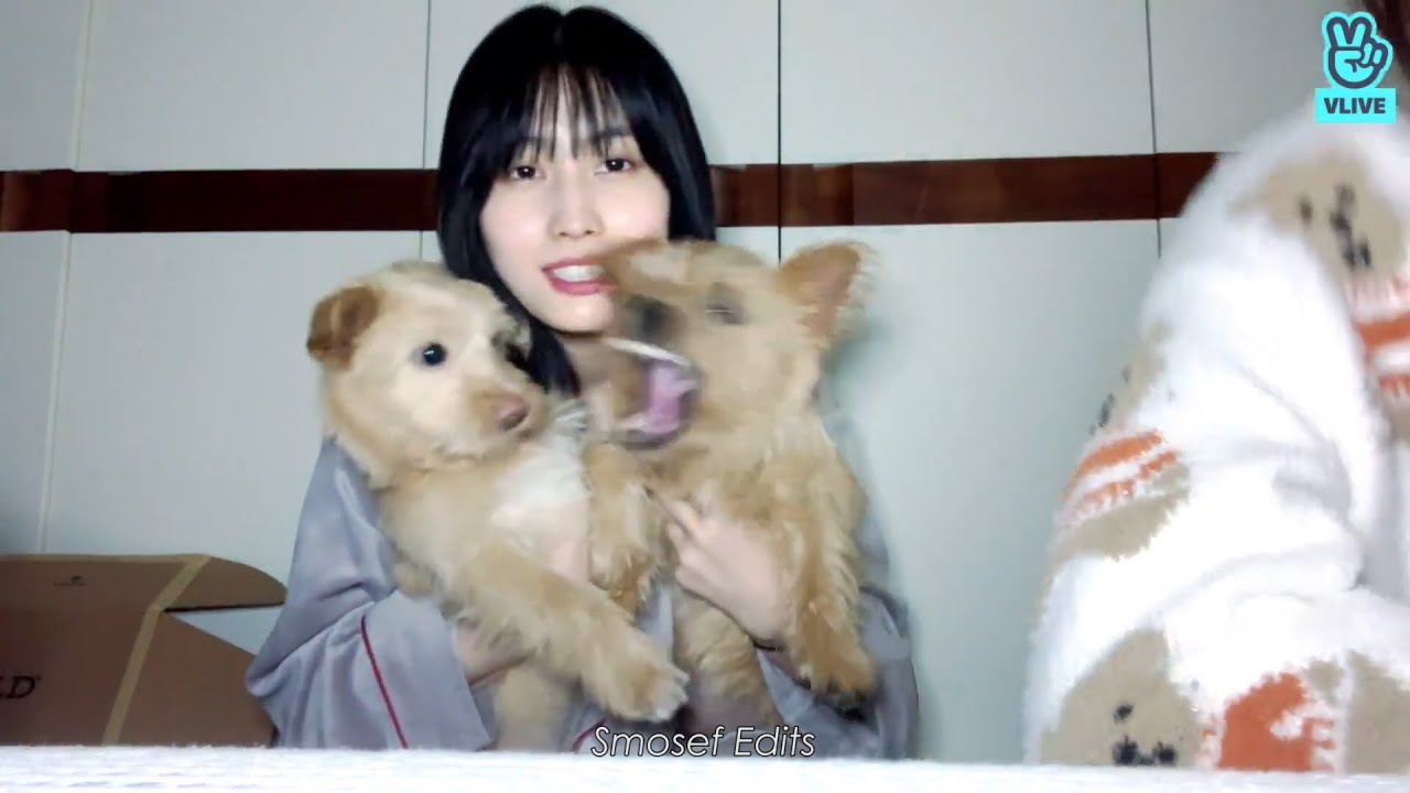 The Misadventures of Dobby & Boo Part 1 - YouTube