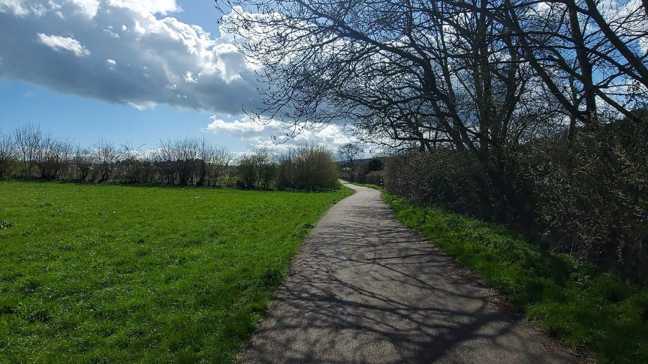 A 4 Mike walk with our 3 dogs around Axminster - YouTube