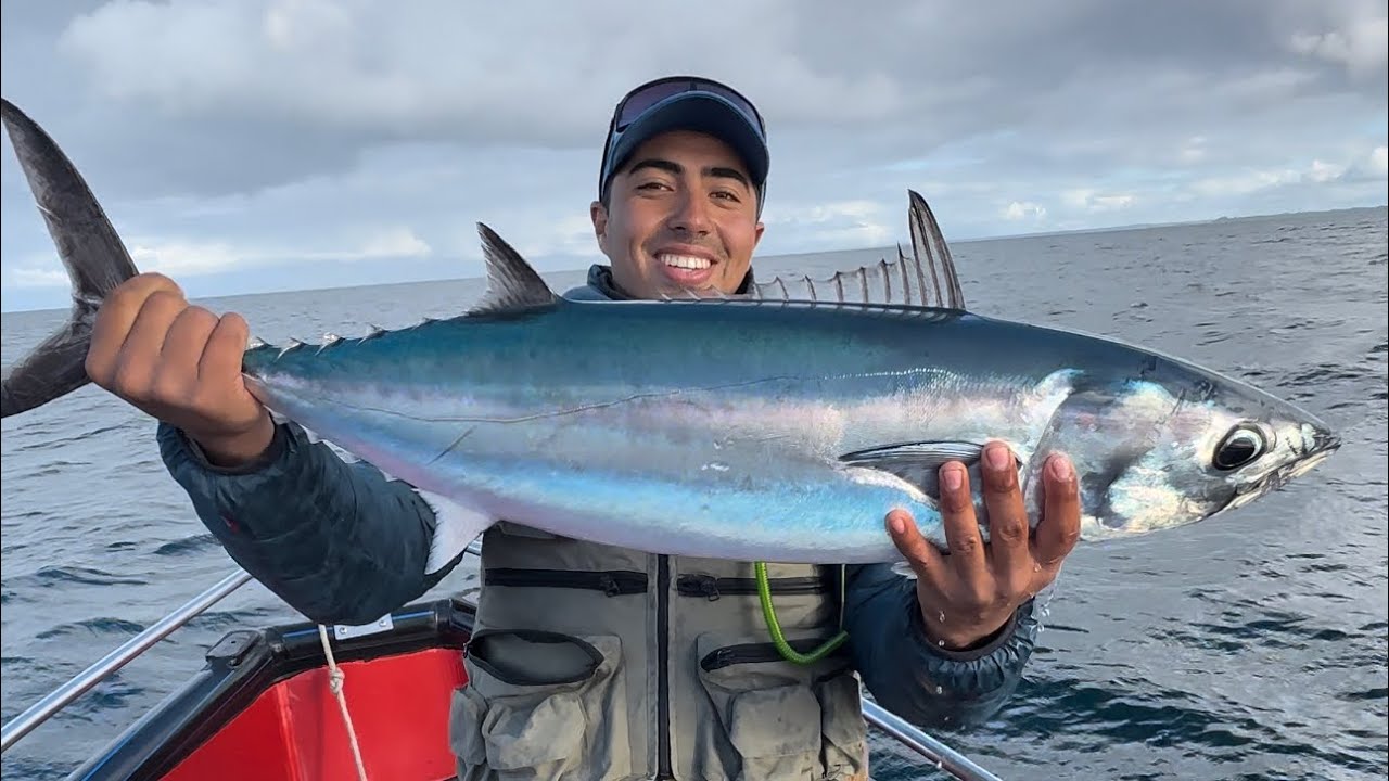 PESCA DE ATUN CON MOSCA, Y GIGANTE SIERRA - YouTube
