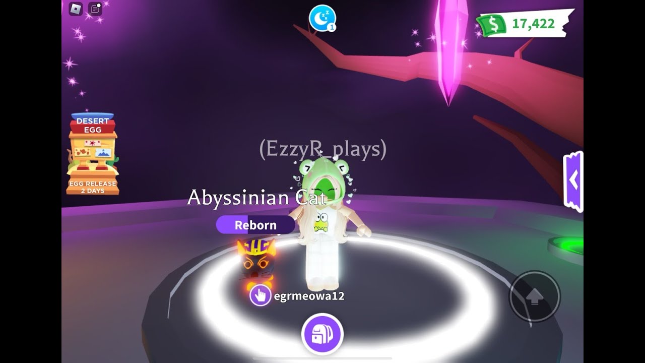 Making the New Neon Abyssinian Cat in Adopt Me! Roblox - YouTube