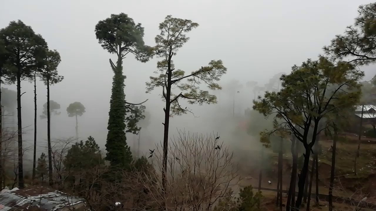 Beautiful scene in Murree| Murree foggy view - YouTube