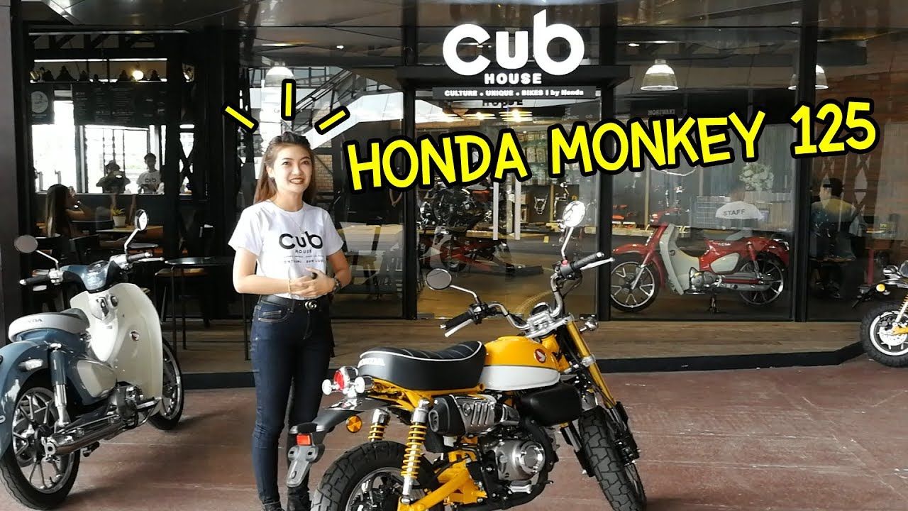 รีวิว Honda Monkey 125 โดยน้องแก้ม [Cub House อุดรธานี] - YouTube