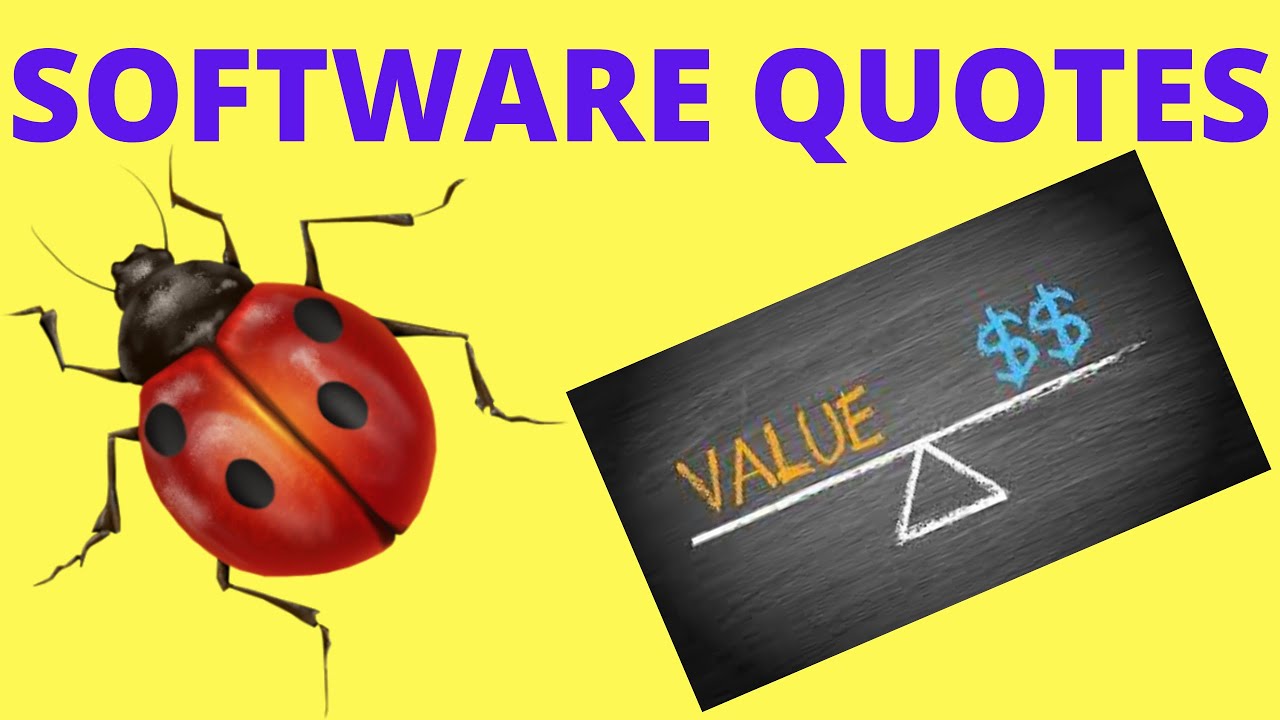 SOFTWARE QUOTES | IN SOFTWARE ARE YOU LOOKING FOR BUGS OR VALUE ...