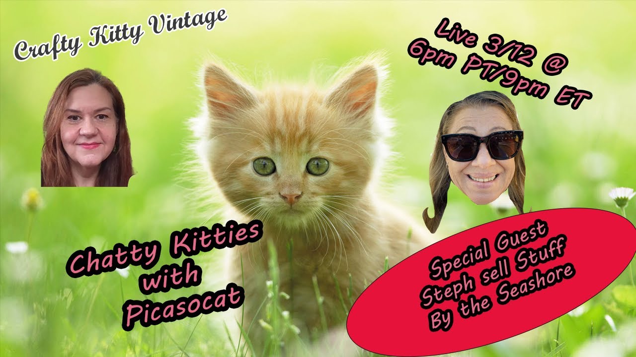 Chatty Kitties Live sale and chat! - YouTube