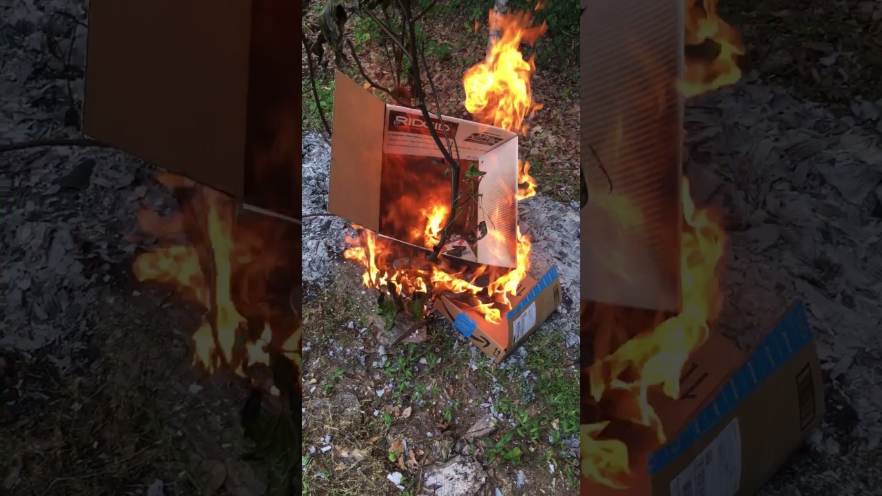 Almost Starting A Forest Fire - YouTube