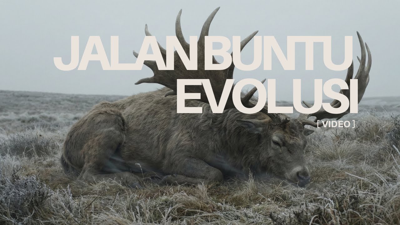Jalan Buntu Evolusi — Saat Adaptasi Menjadi Kepunahan - YouTube