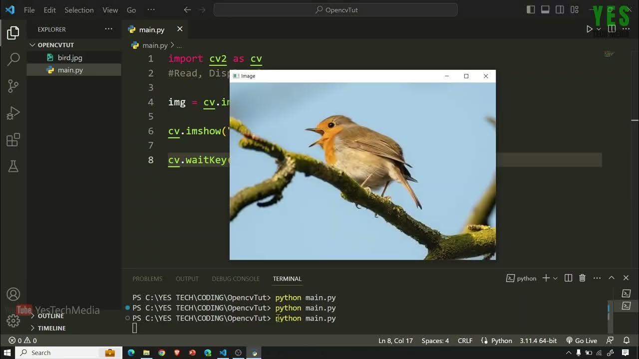 Read, Display & Write Images | OpenCV-Python Computer Vision | Malayalam Tutorial | Part-3 - YouTube