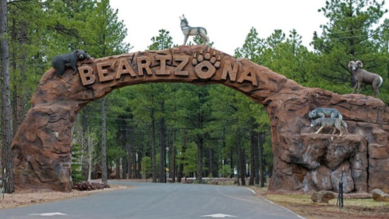 Lets tour Bearazona Wildlife park in Williams Arizona! - YouTube
