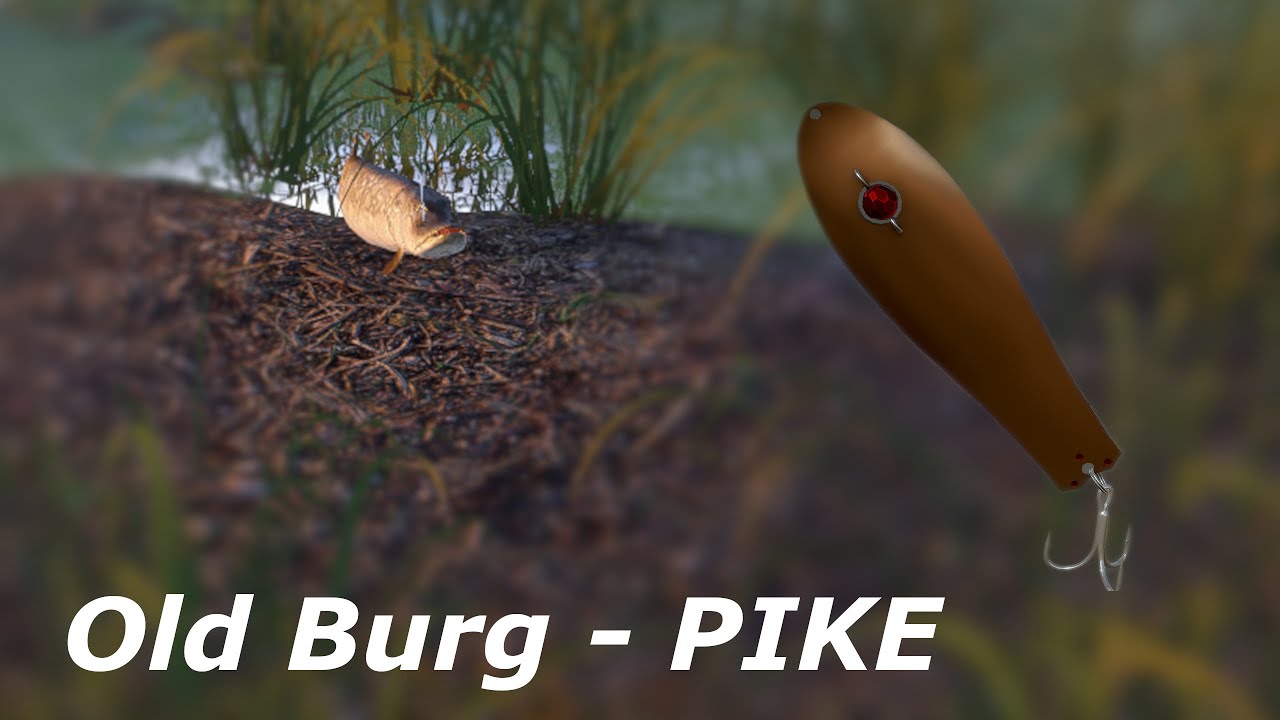 Old Burg - 11kg PIKE SZCZUPAK | Russian Fishing 4 RF4 SPOT #140 - YouTube