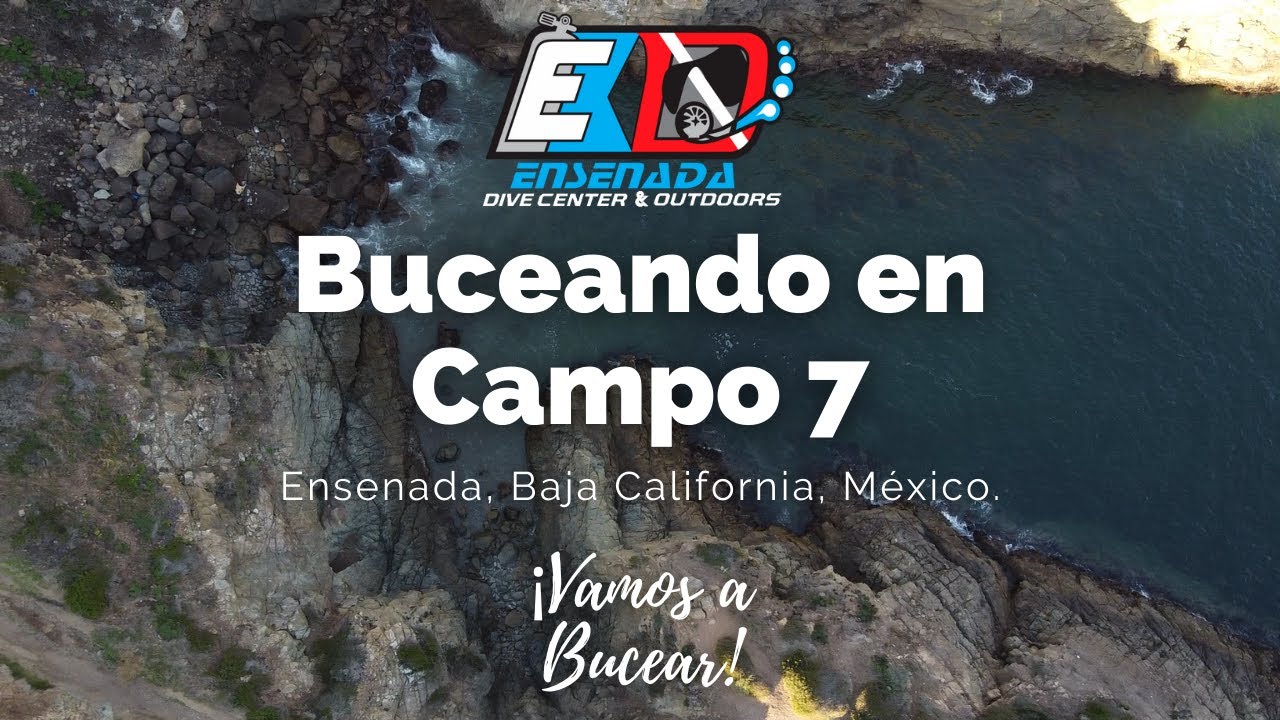 Buceando en Campo 7, Ensenada, B.C., MX | Ensenada Dive Center ...