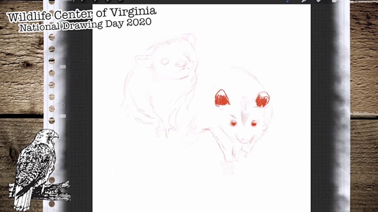 National Drawing Day: Part 2 - YouTube