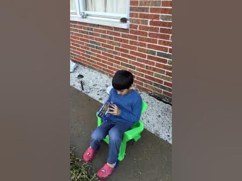 Fly Guy vs. the Fly Swatter by Ted Arnold - YouTube