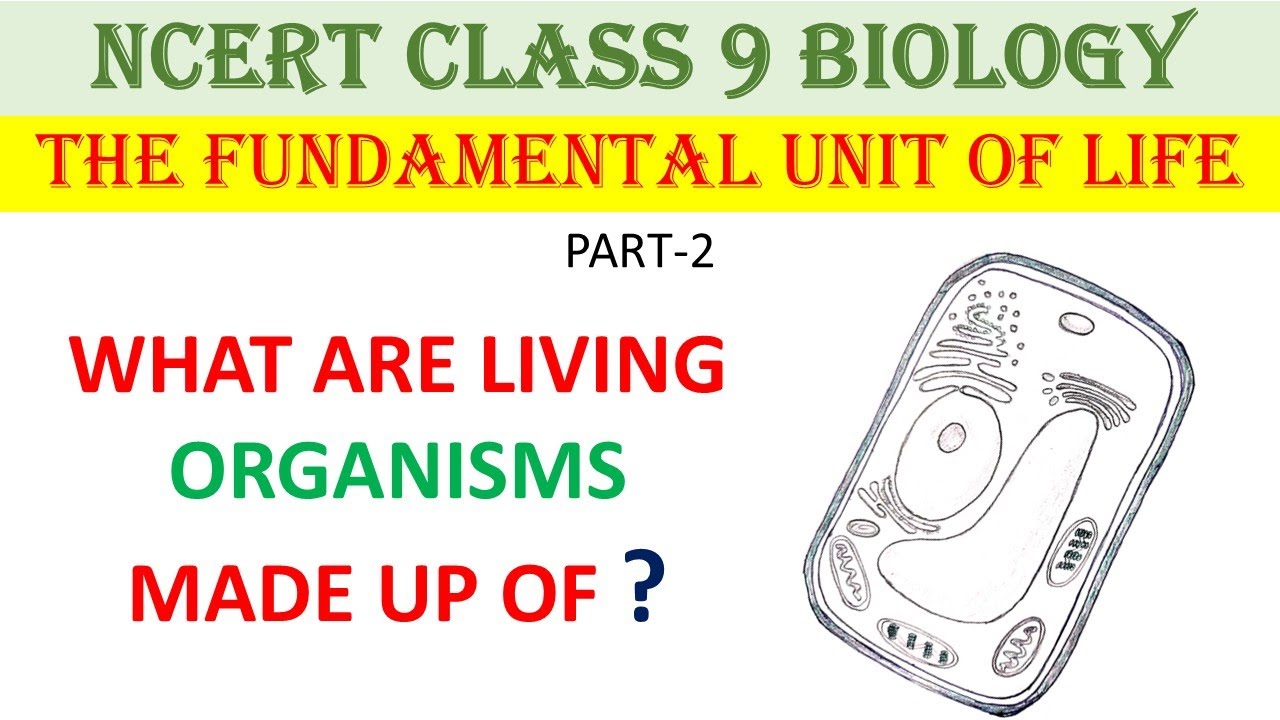 The Fundamental Unit Of Life Part 2 | What Are Living Organisms Made Up ...