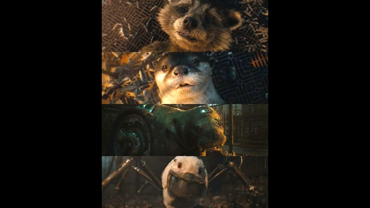 Unveiling the Dark Secrets of Being a Genetic Experiment Gone Wrong - YouTube