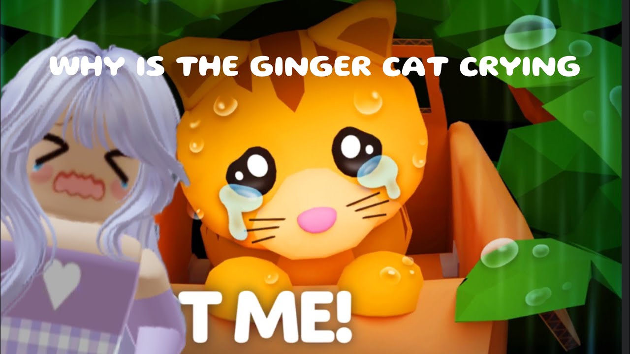 WHY IS THE GINGER CAT CRYING* IN ASOPT ME?! - YouTube
