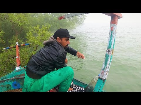 Mangroves Fishing Karachi Pakistan