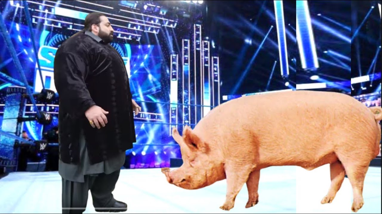Khan baba vs Pig | WWE raw Fight - YouTube