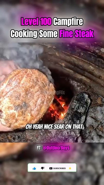 Level 100 Campfire Skills Cooking Some Fine Steak #shorts #viral - YouTube