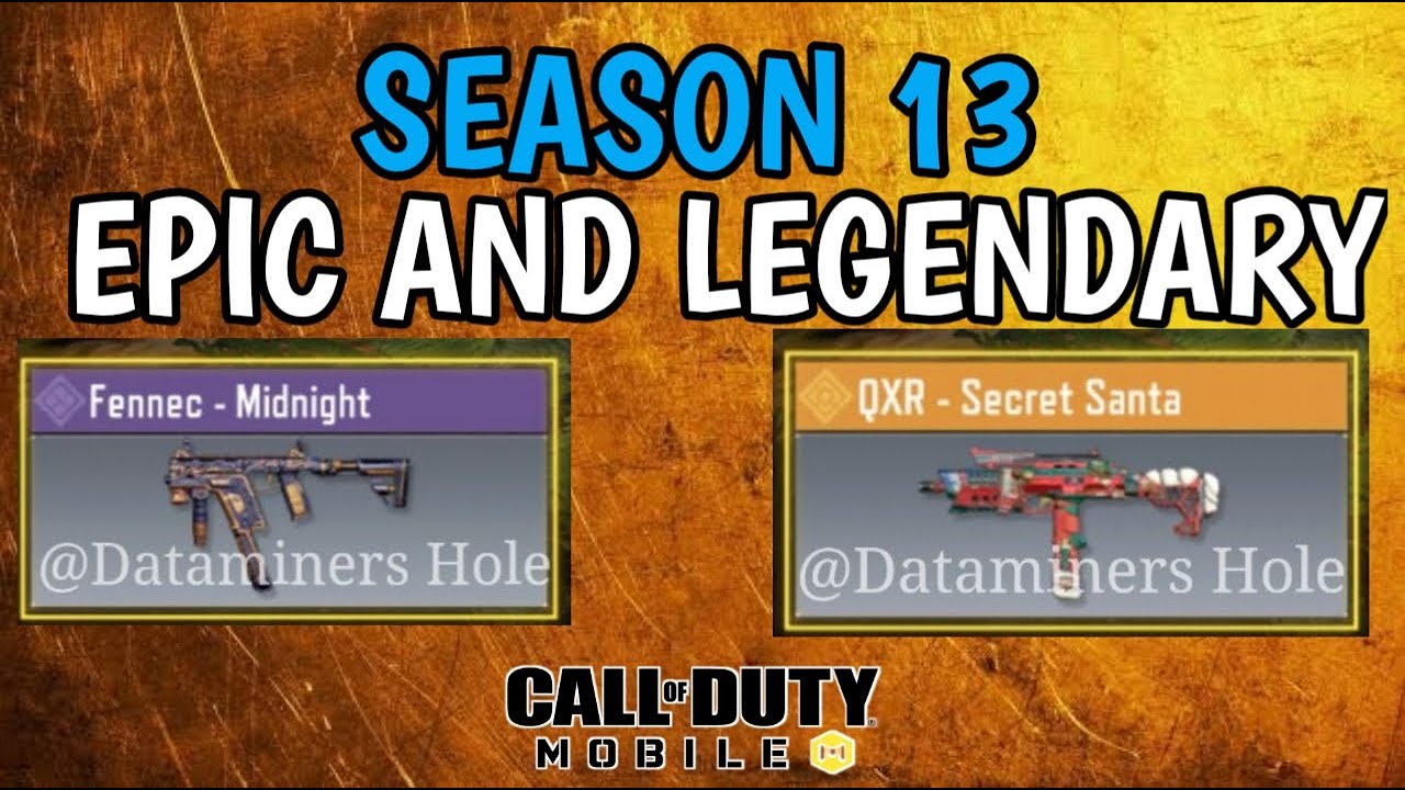SEASON 13 ALL EPIC AND LEGENDARY CAMOS OF WEAPONS GUNS CALL OF DUTY ...