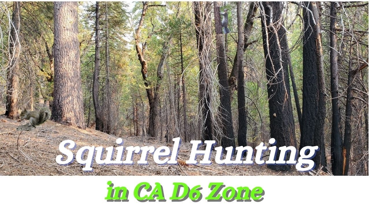 Hunting in CA D6 Zone - YouTube